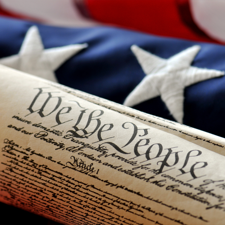 Greene Commissioners Approve Second Amendment Sanctuary Resolution